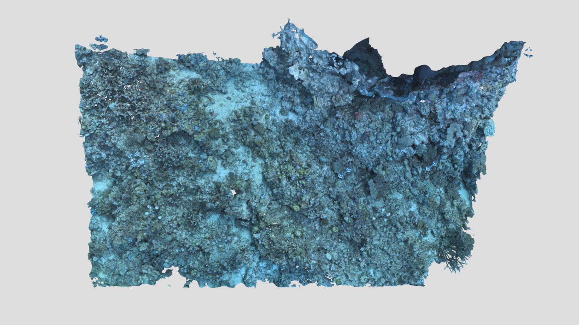 Davies_FL1D_P2_202201 - 3D model by EcoRRAP (@AIMSEcoRRAP) [e28e52e ...