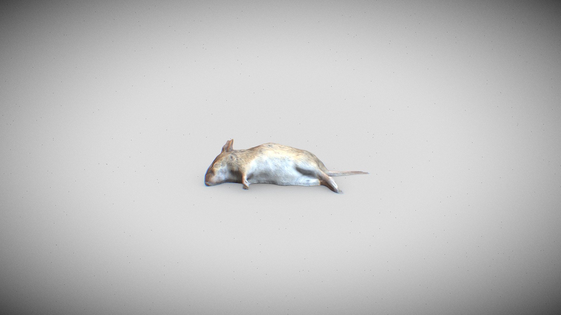 Dead Mouse - Download Free 3D model by Dom S (@dominiksubocz) [e28f6ce ...