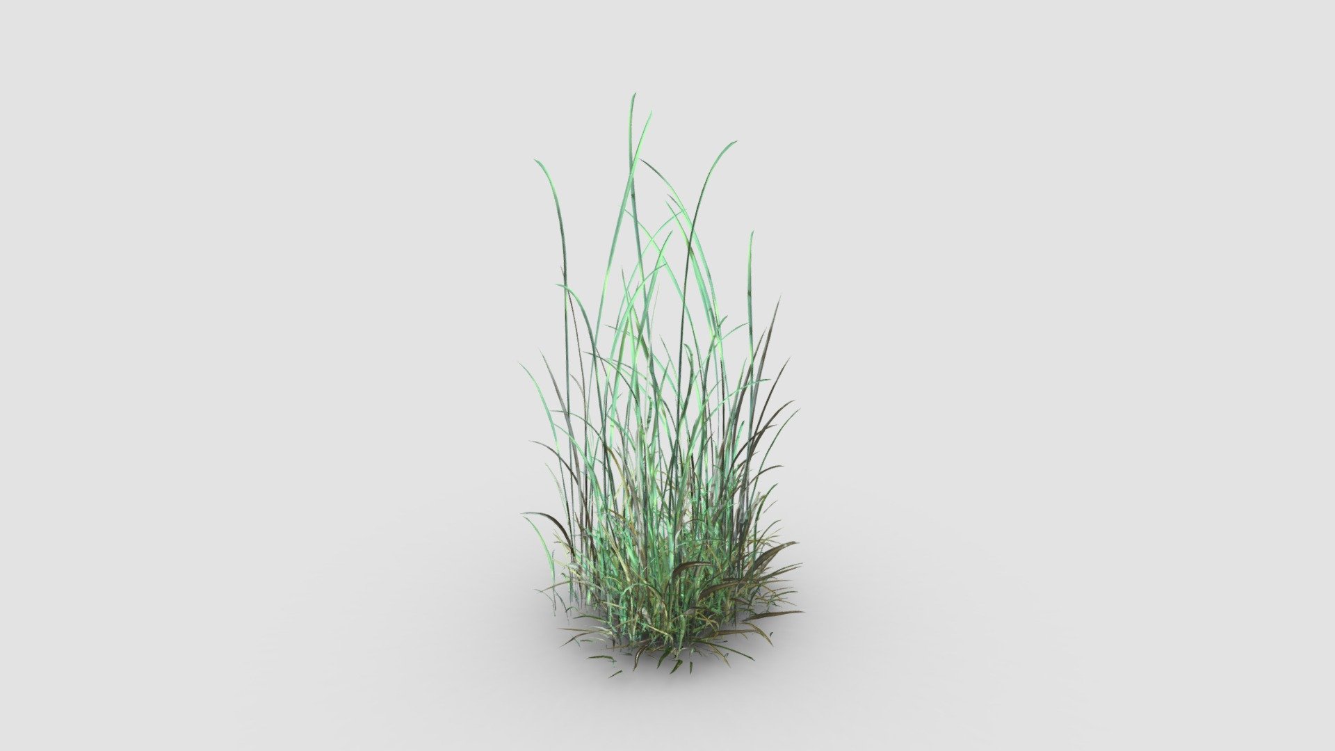 simple grass - Buy Royalty Free 3D model by Evermotion [e2a5ad4 ...