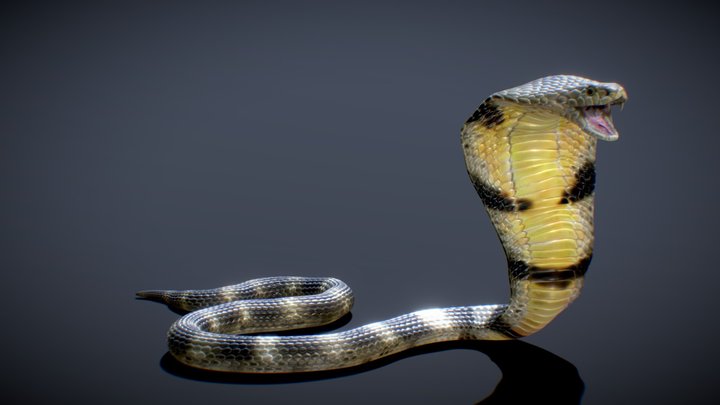 Cobra 3D models - Sketchfab