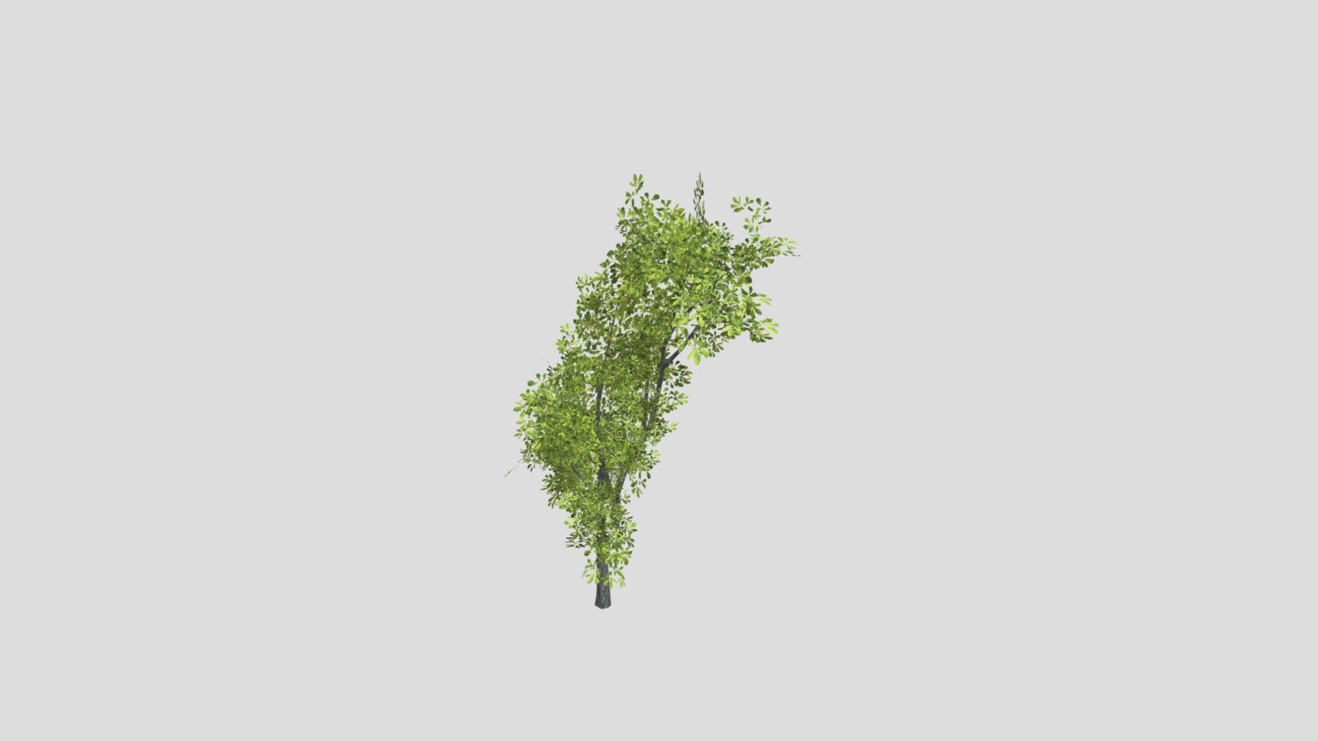 trees low polly - Download Free 3D model by siparmin (@siparminid ...