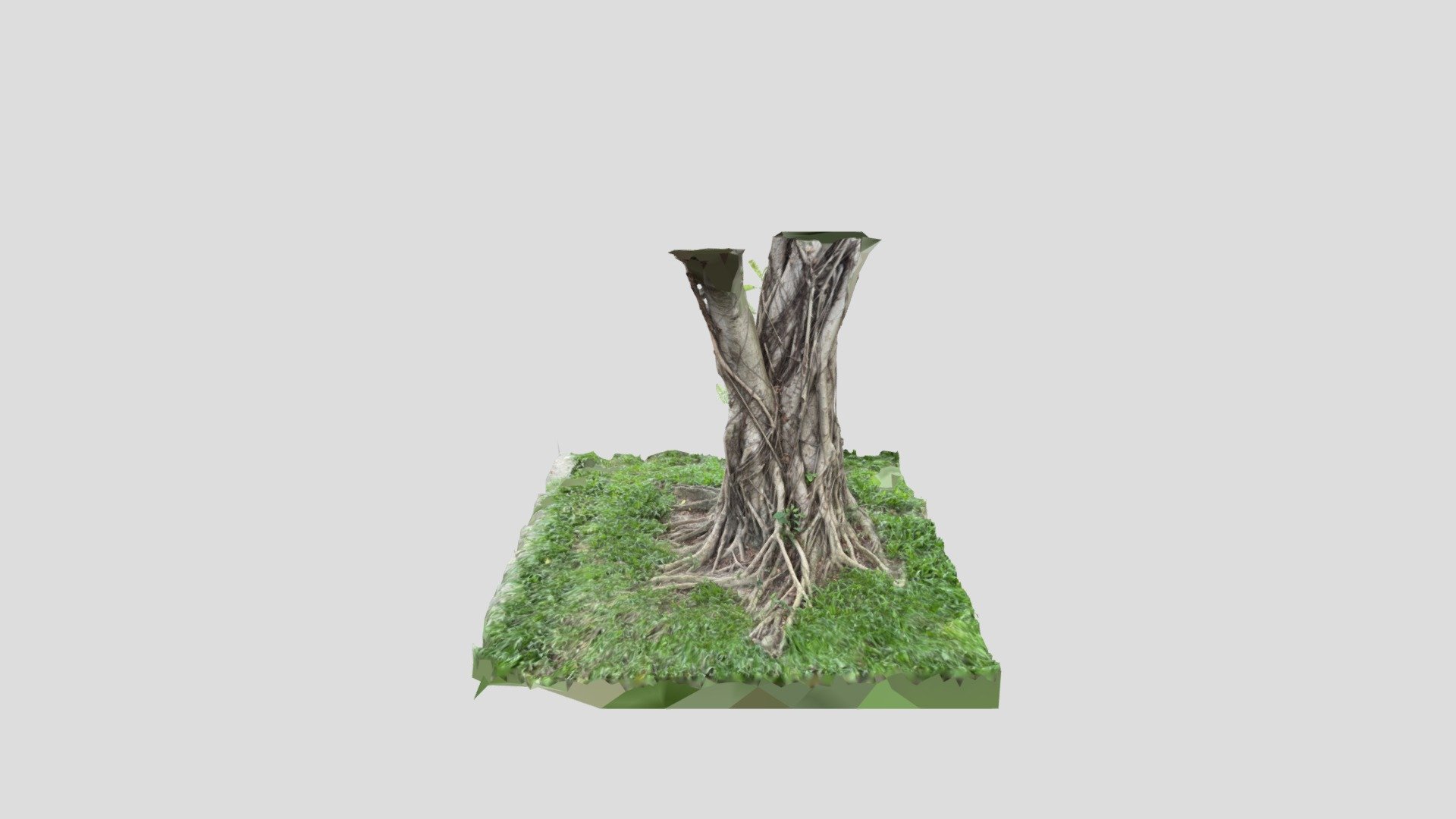 tree in the park - Download Free 3D model by Panyinyu [e2f1b6c] - Sketchfab