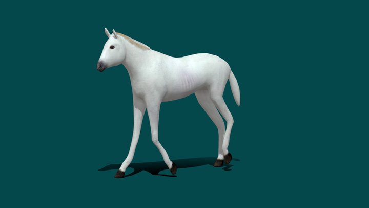 Colt 3D models - Sketchfab