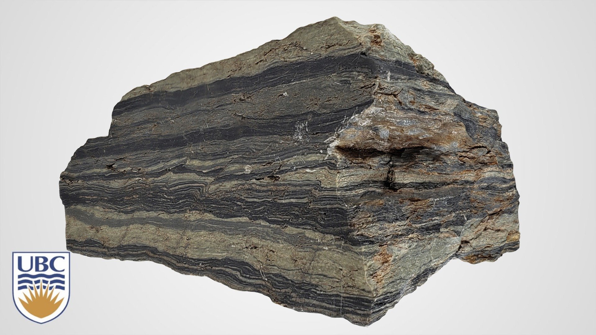 Sedimentary Rock - 3D model by Nichole Moerhuis (UBC Geology ...