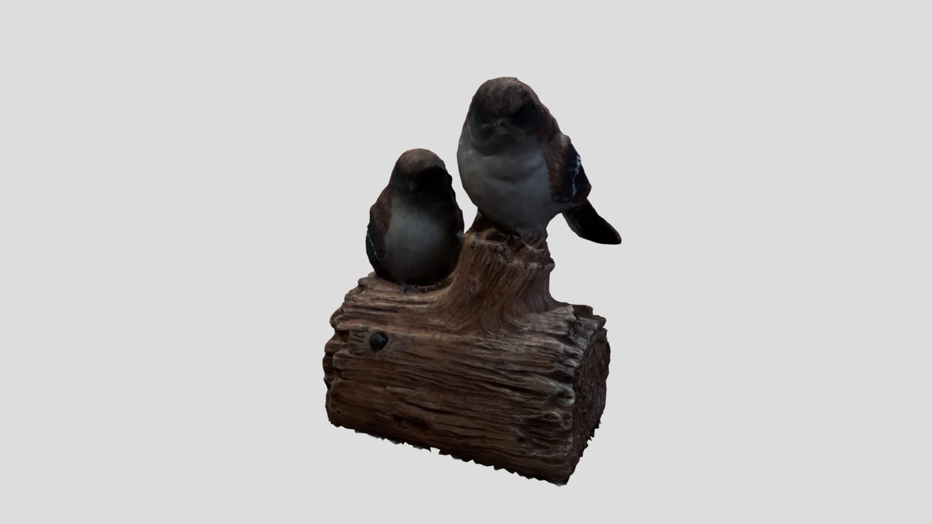 Birds On A Branch - 3D model by ValTheBlox (@Alleph) [e3092db] - Sketchfab