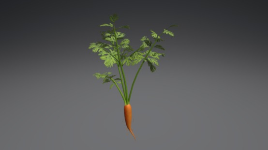 Carrot plant - 3D model by Cengkerik (@backbone) [e30ddaa] - Sketchfab