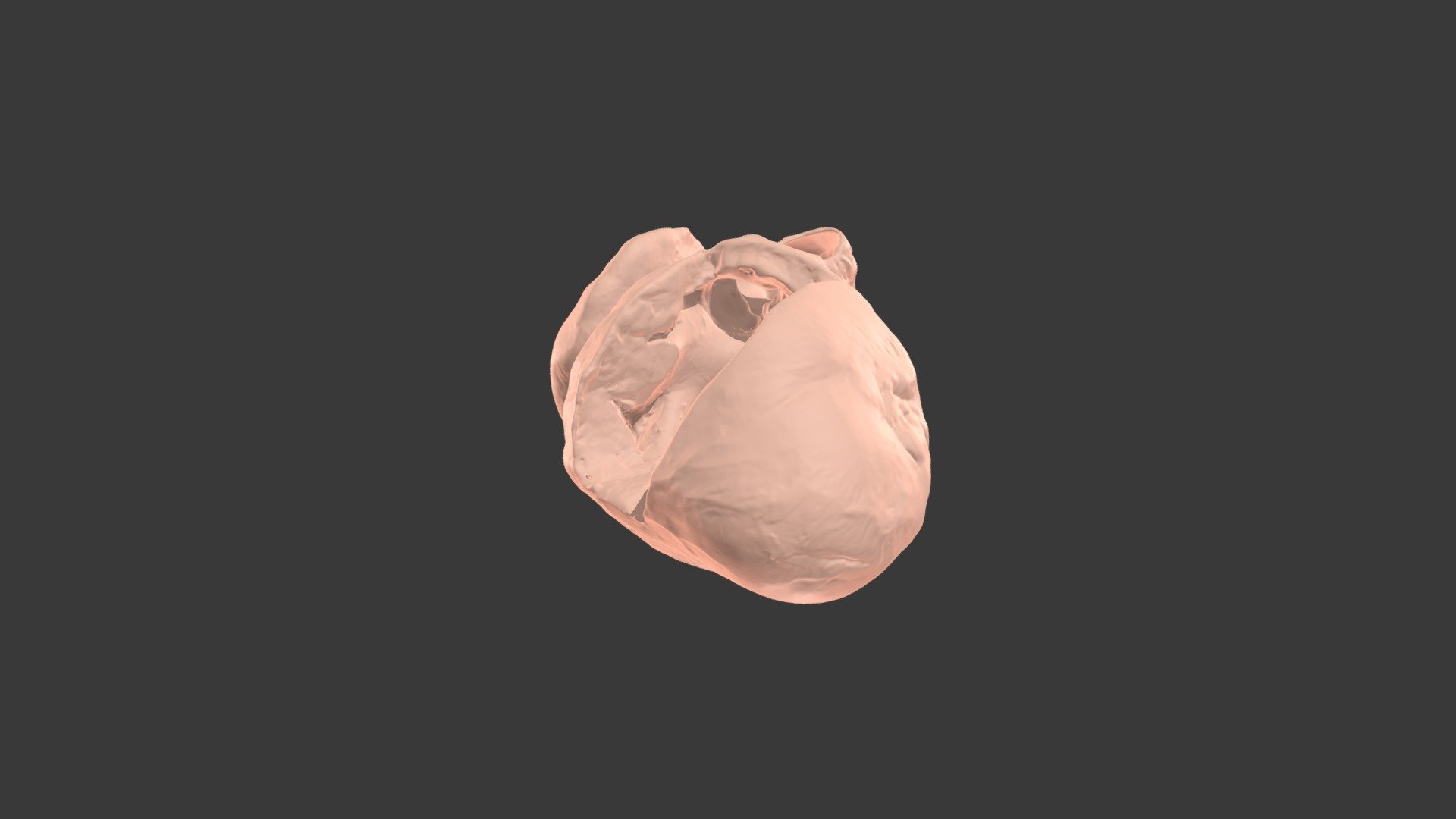 Hlhs 4 Hlhs {s D S} Aa Ms 3d Model By Heartmodels [e314aa5