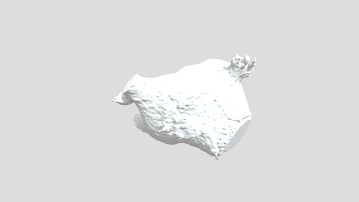 Left_atrium 3D models - Sketchfab