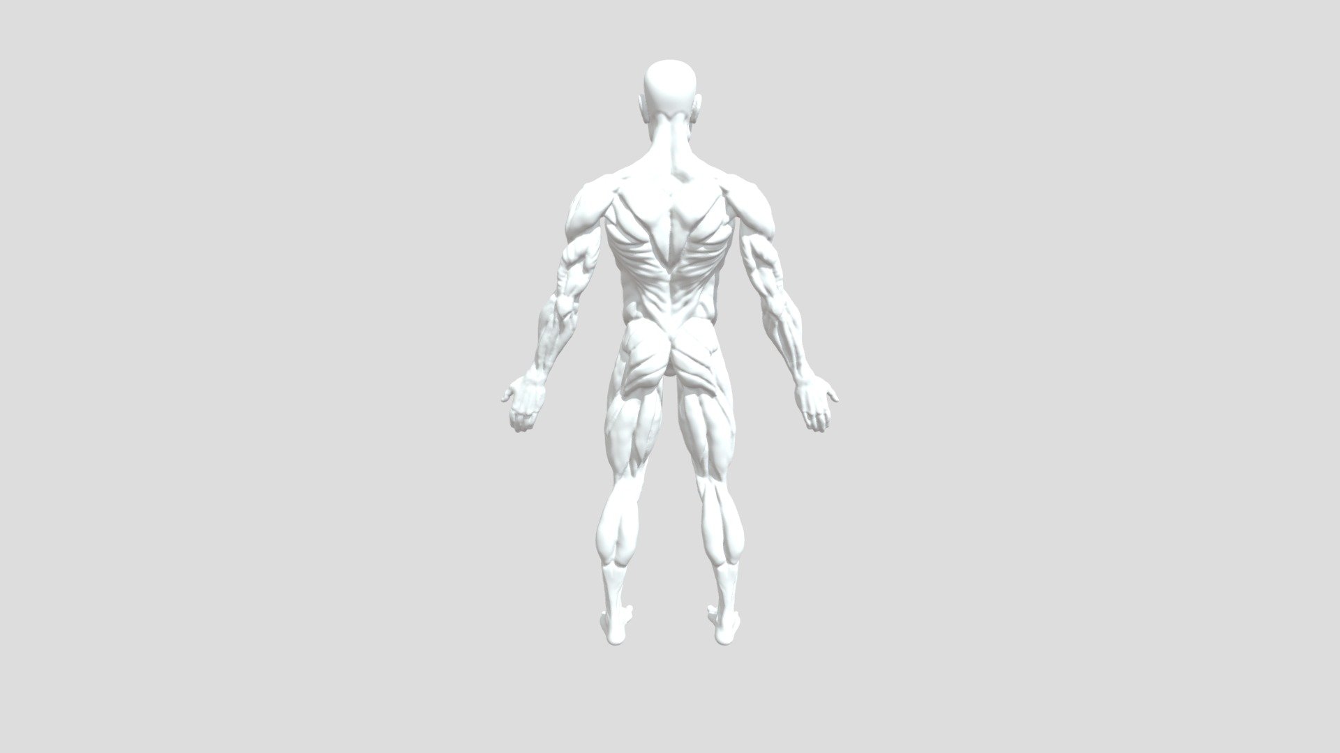 MORPHOMAN - Download Free 3D model by MADUZAH_MAD [e319014] - Sketchfab