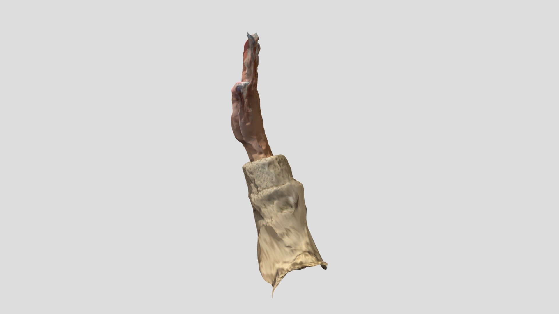 3-Dimensional Scan of Right Hand - 3D model by luisdorantes [e31aecc ...