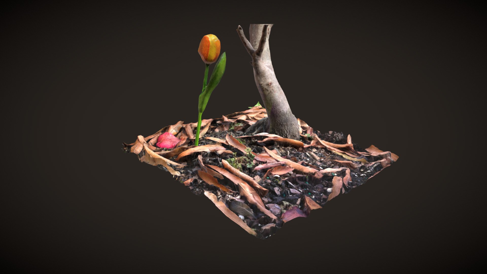Wooden Flower Box - 3D model by MTR Magic Key 🗝️ (@mtrmagickey ...