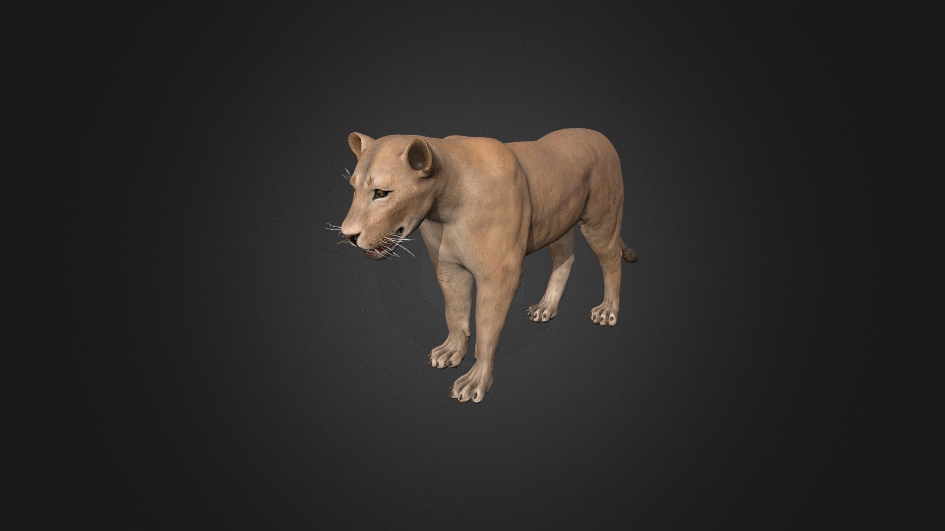 Lioness - Buy Royalty Free 3D model by Rifat3D [e33051a] - Sketchfab Store