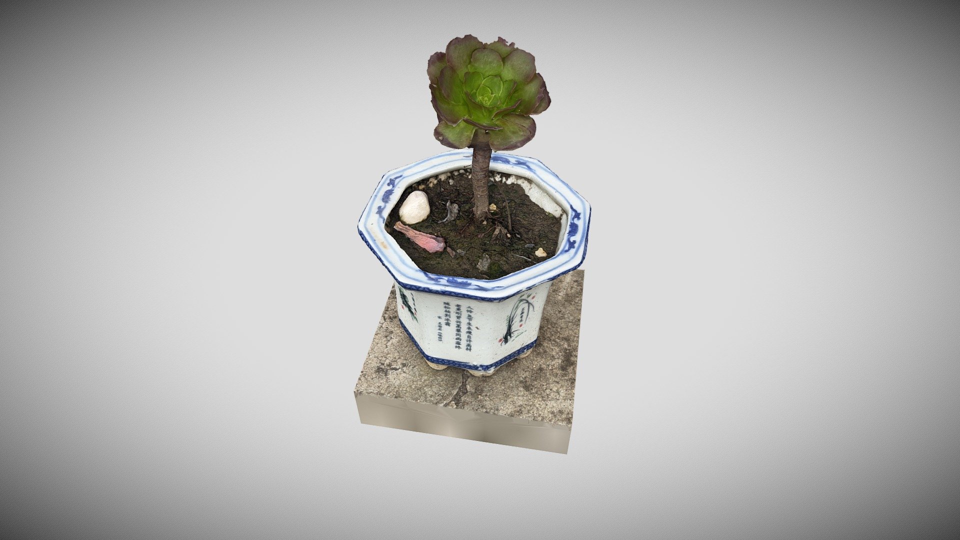 bonsai - 3D model by Wiga [e3363ff] - Sketchfab