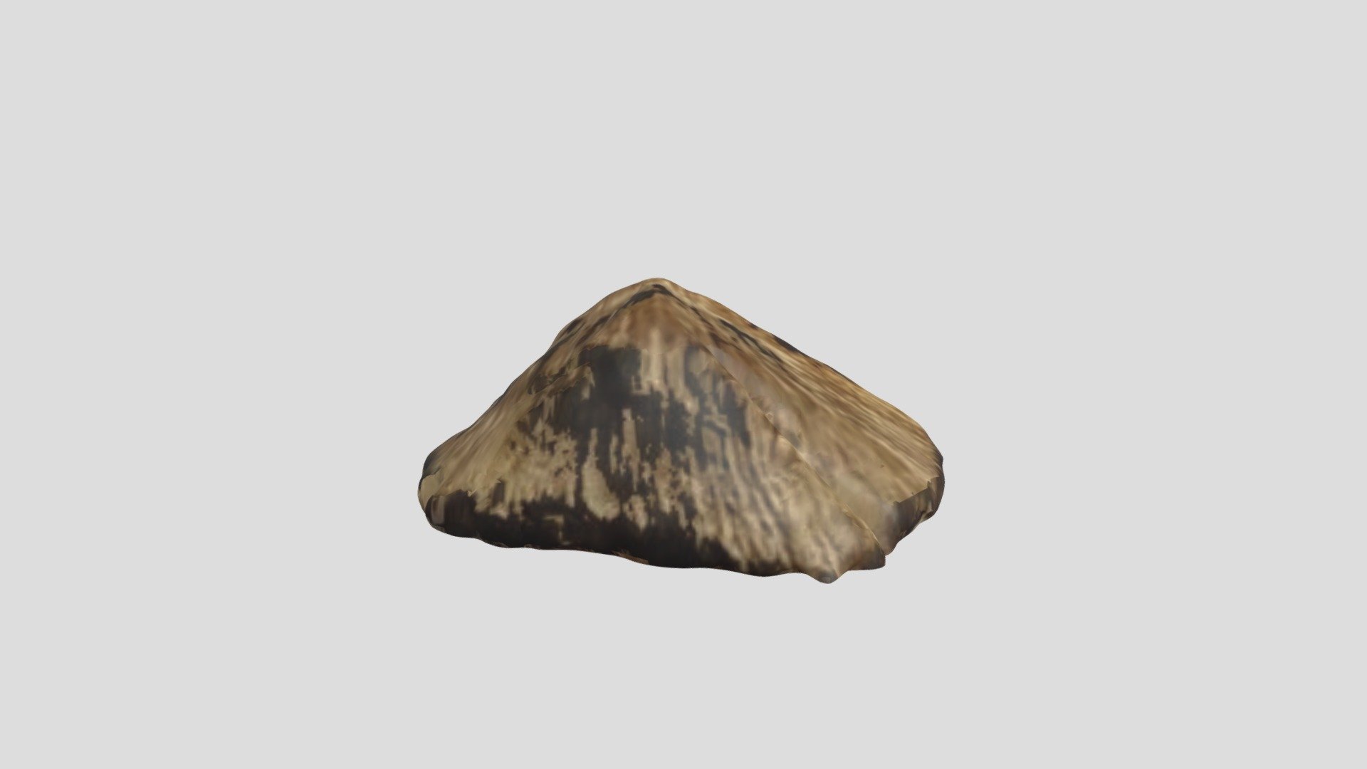 Cyclolites cllipticus - 3D model by rin209 [e33925d] - Sketchfab