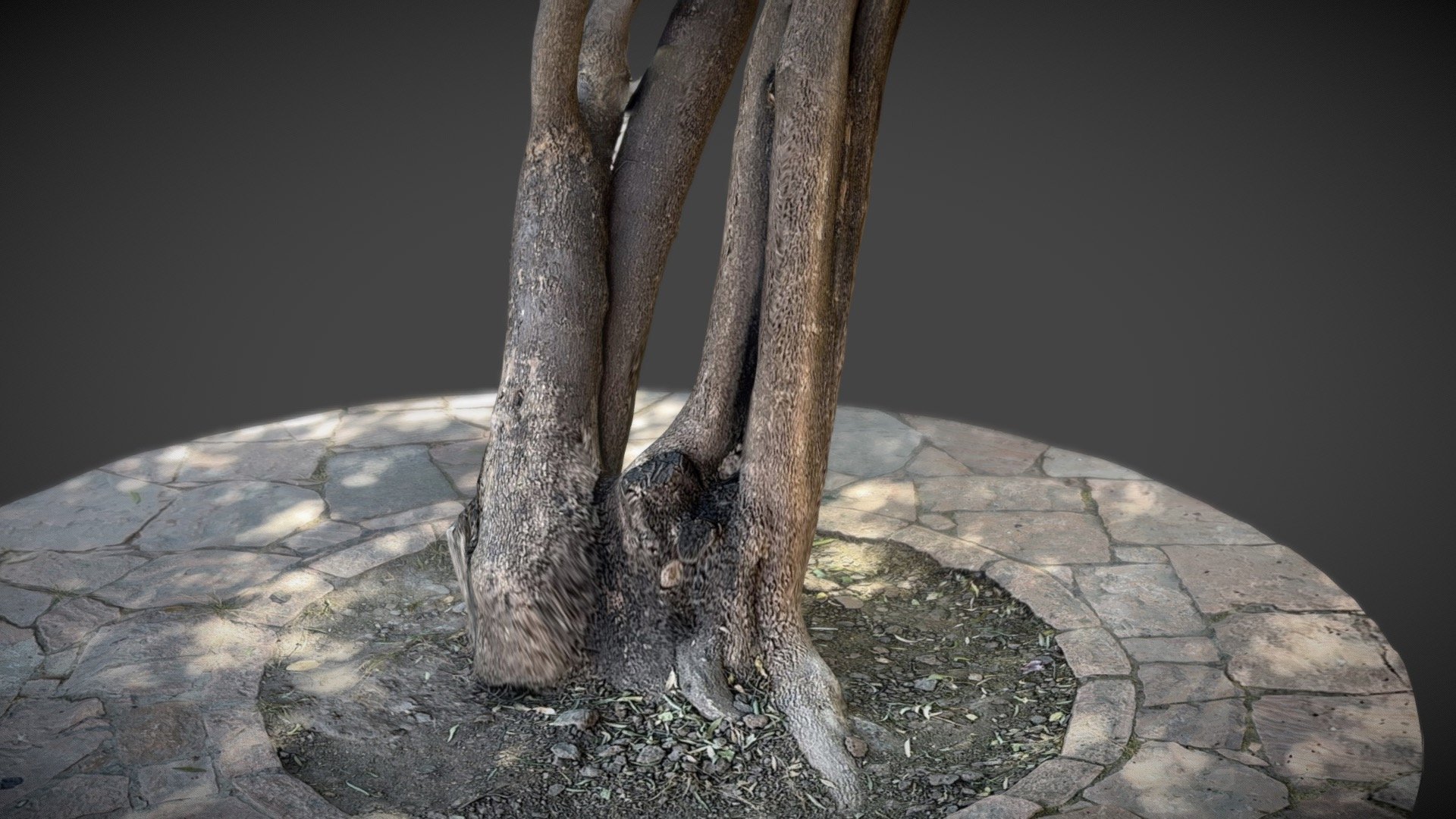 Tree Trunk - Download Free 3D model by raobott [e3402d7] - Sketchfab
