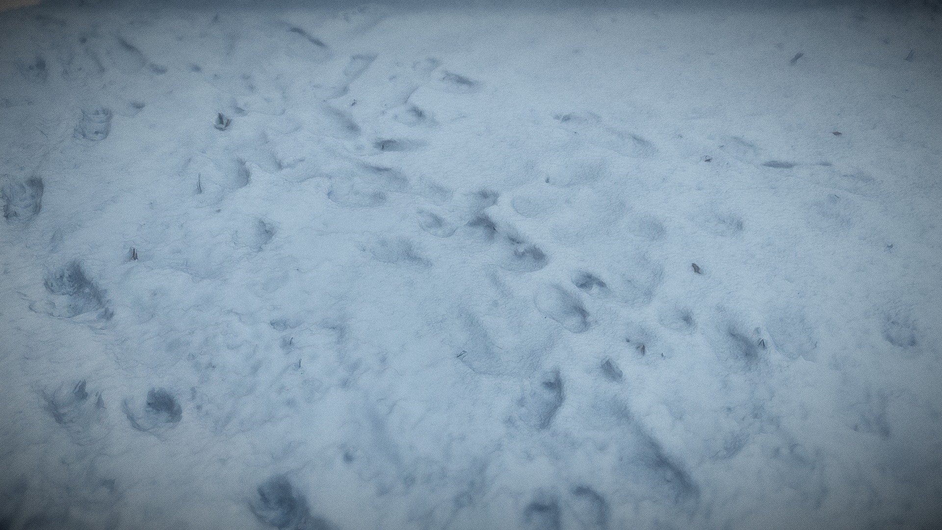 Ground Snow 1 - Download Free 3D model by Alex Fedorov (@avarice999 ...