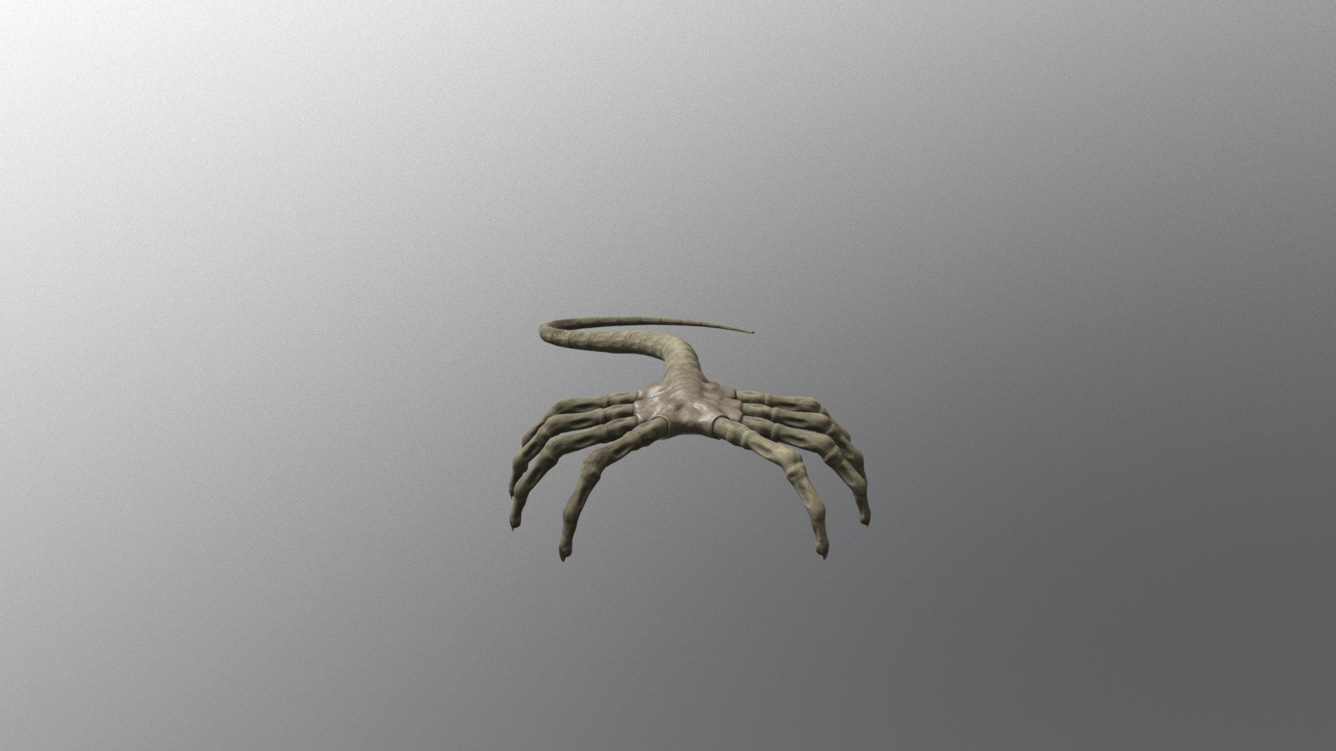 Facehugger - Download Free 3D model by owenslater [e34540e] - Sketchfab