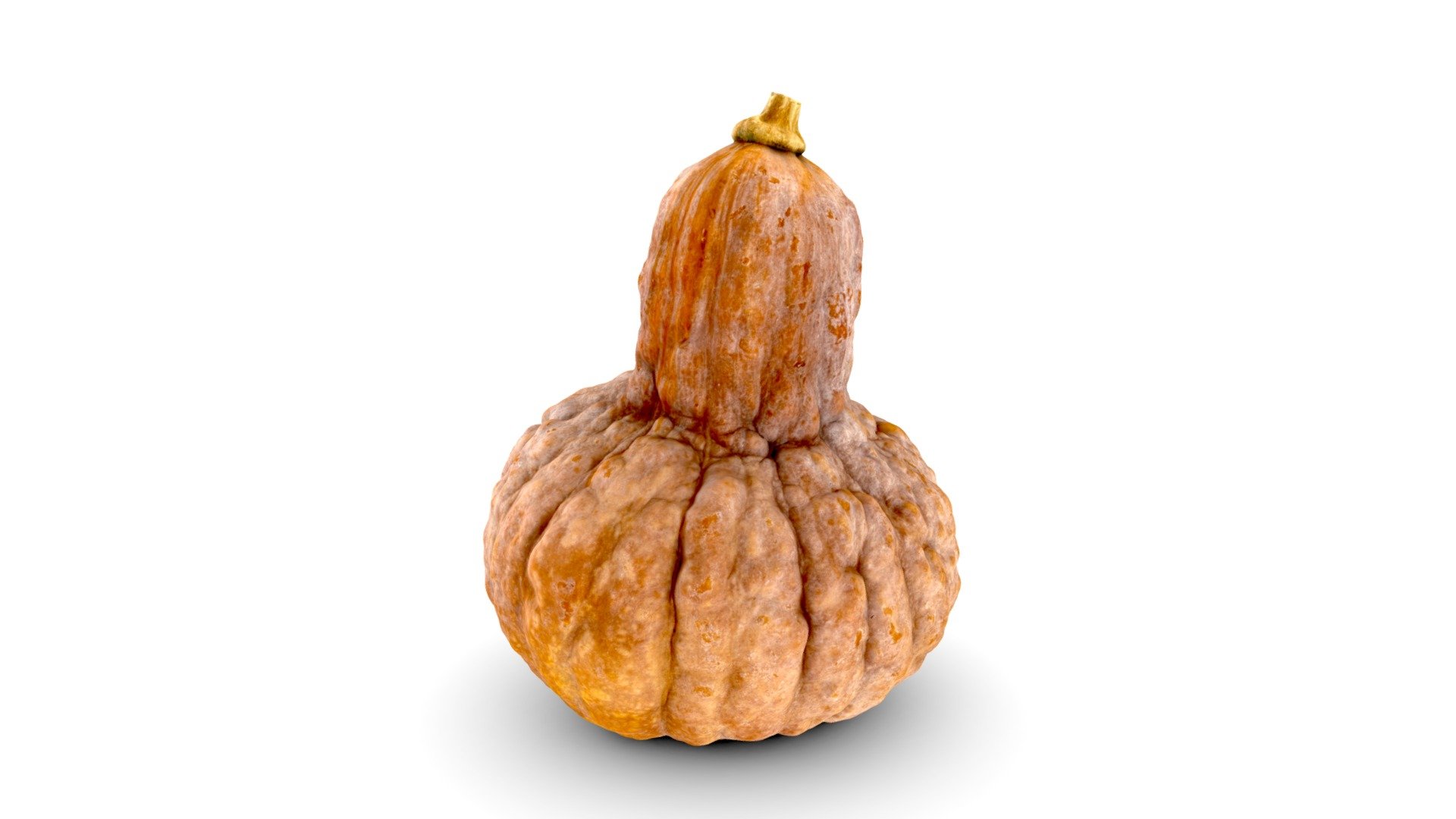 Shishigatani Pumpkin（ししがたに）Photogrammetry - 3D model by Akiko_NAKAMURA ...