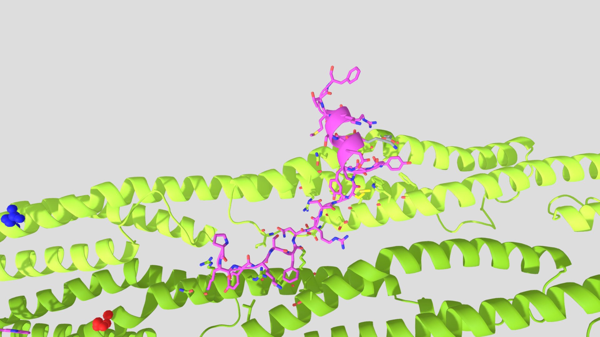 Crystal structure of α-actinin-2/FATZ-1 LM2 - 3D model by kristina ...