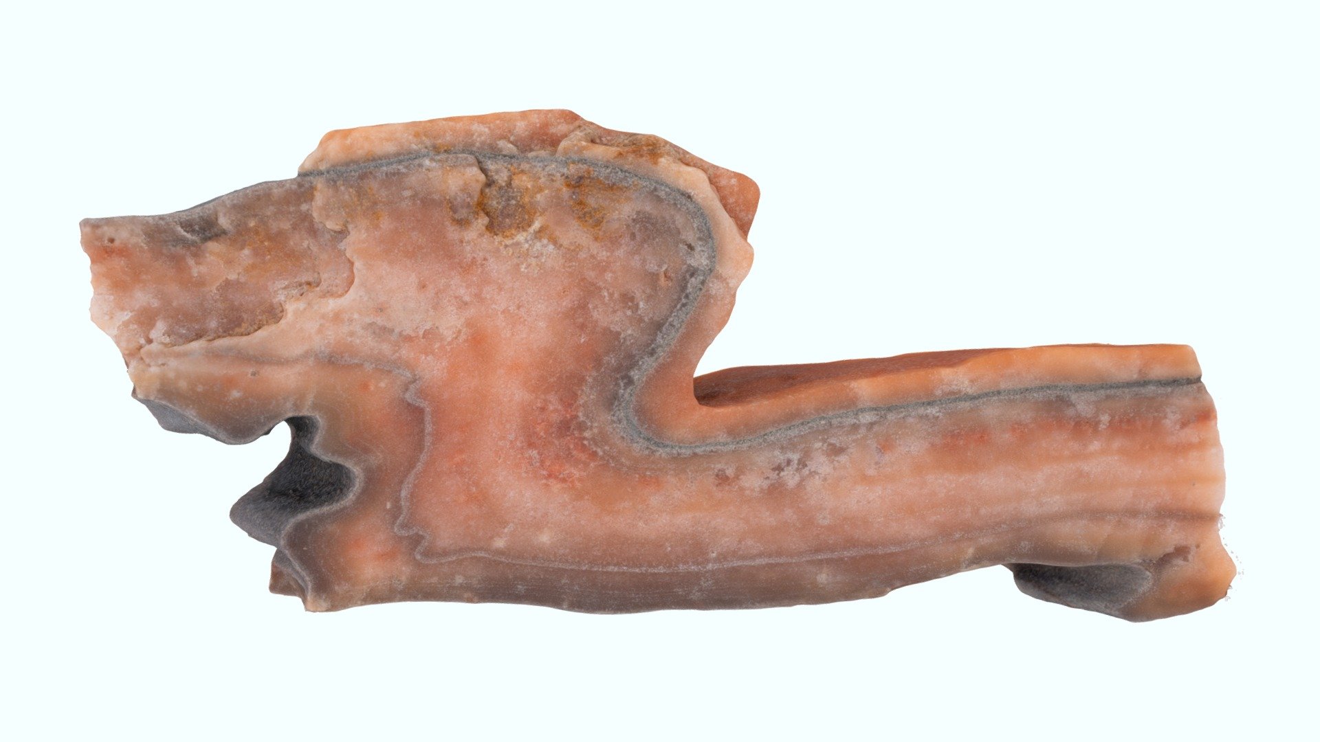 Pli entérolithique effectant de la carnalite - Download Free 3D model ...