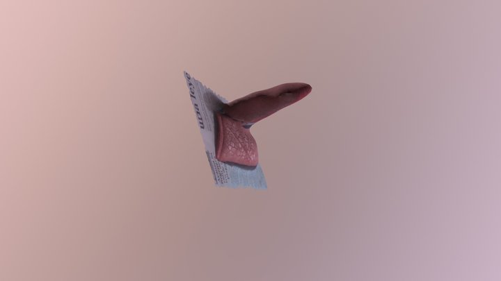Pulmon 3D models - Sketchfab