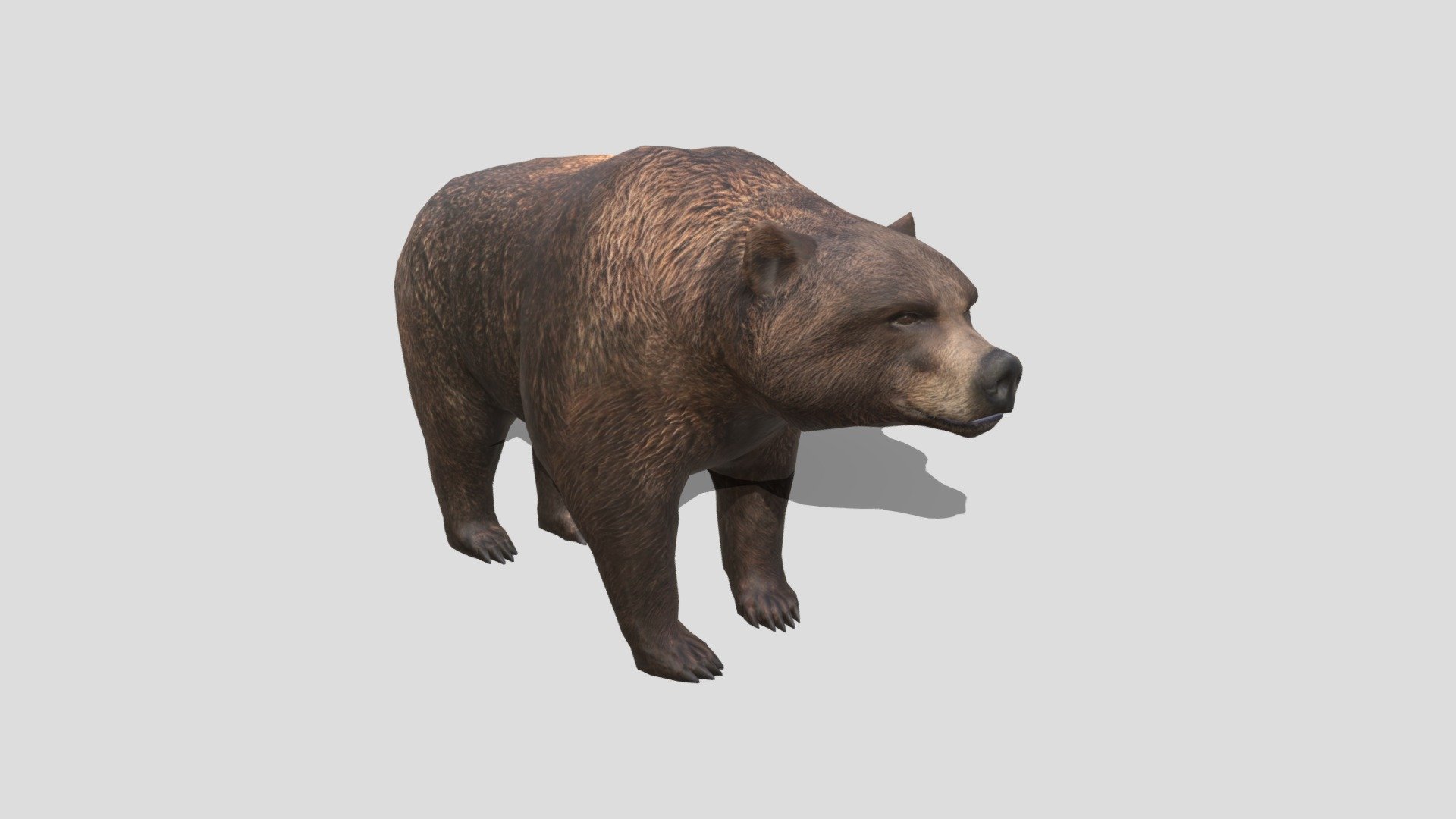Bear_Null_middle-anim - 3D model by Farago [e36009b] - Sketchfab