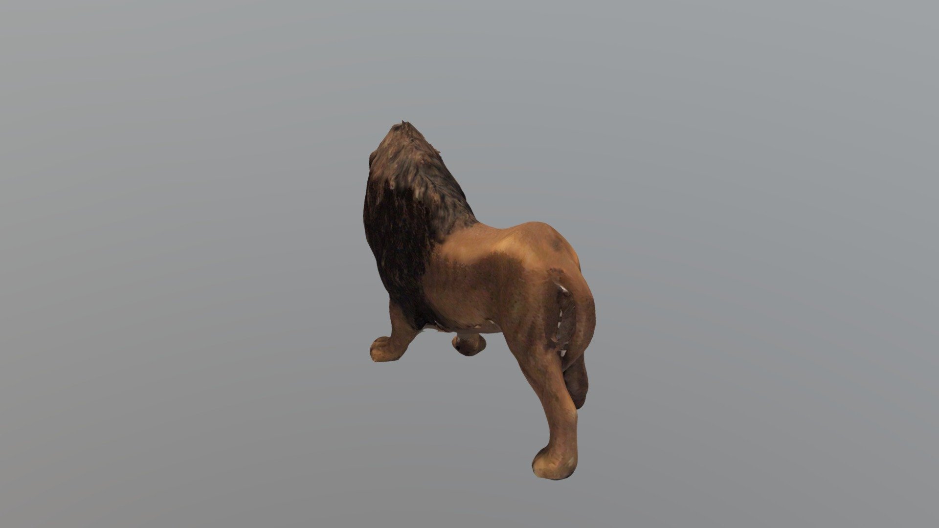 Lion - 3D model by manyan7b3b [e372ee0] - Sketchfab