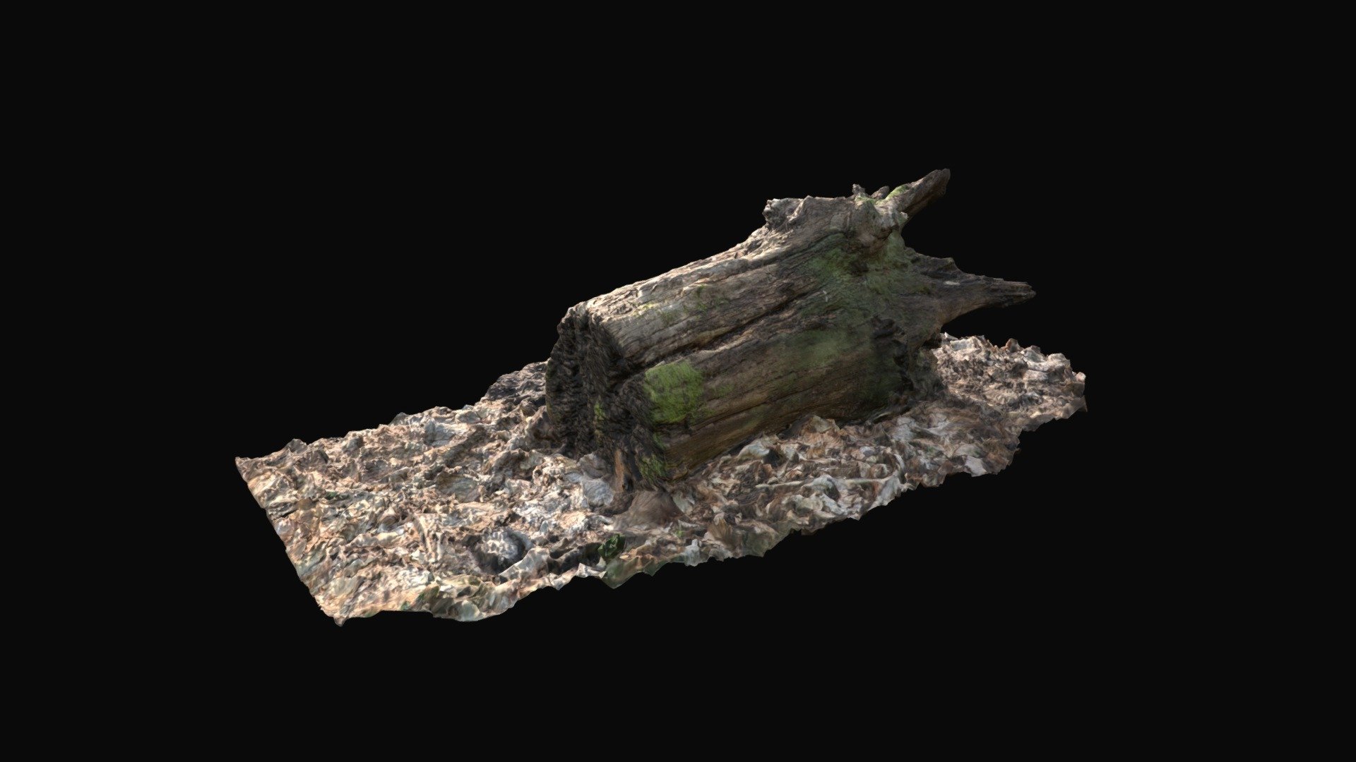 Souche Final - 3D model by lolo0 [e377592] - Sketchfab