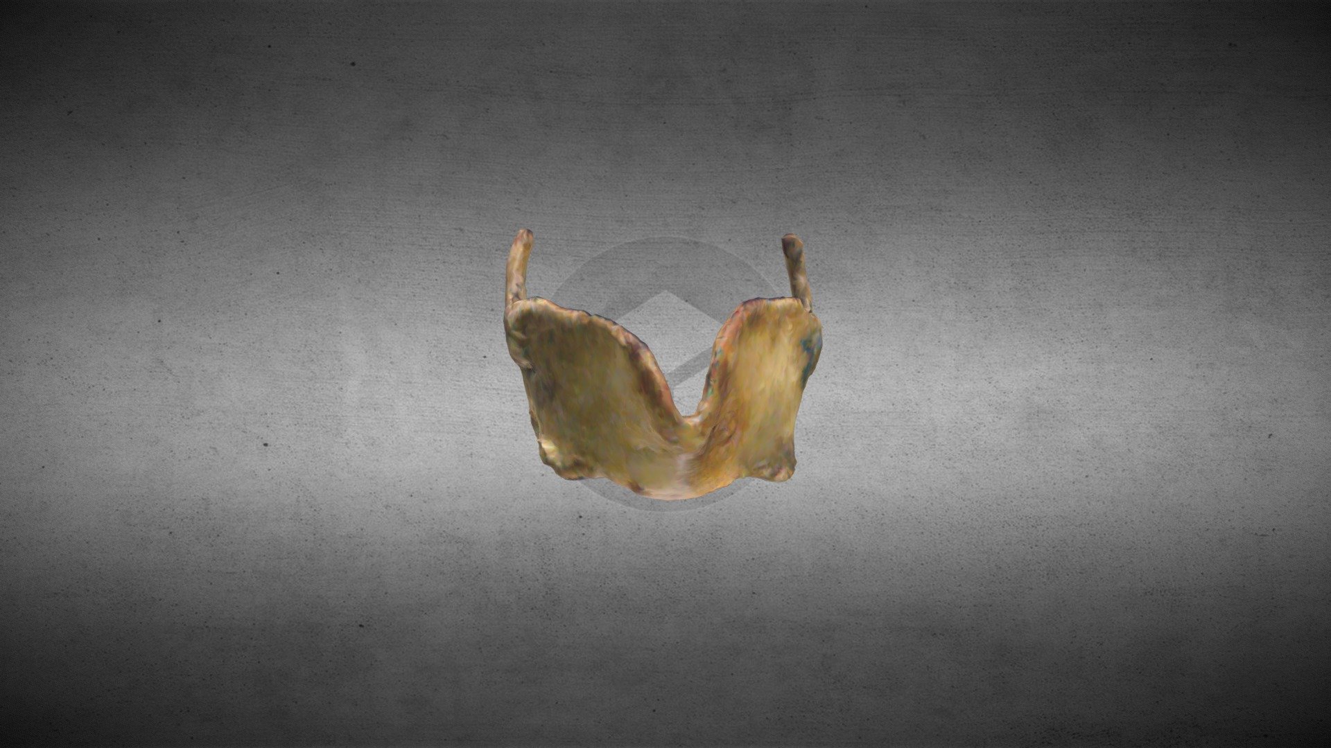 Cartílago Tiroides/ Thyroid cartilage - Buy Royalty Free 3D model by ...