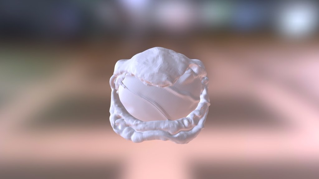 Pet - 3D model by mrawlingst [e385a14] - Sketchfab