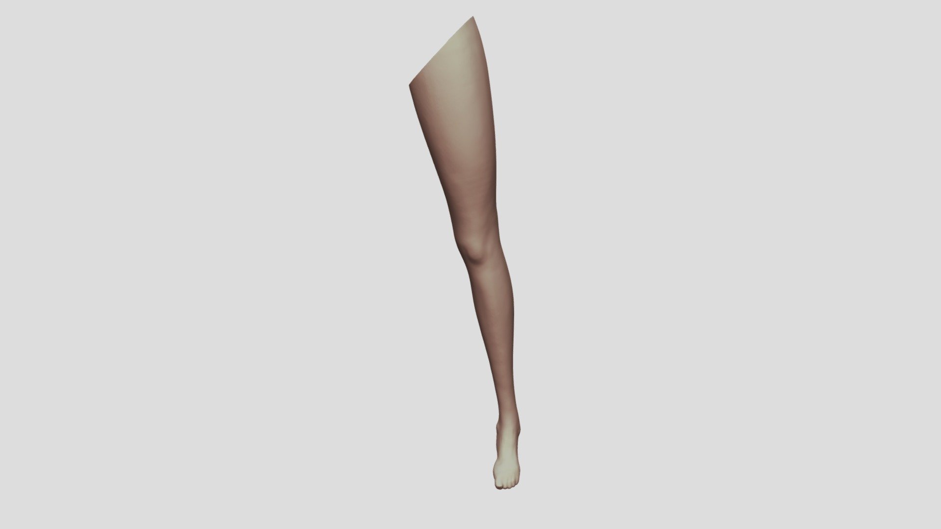 female LEG sculpt - Download Free 3D model by Pabler [e38ab07] - Sketchfab
