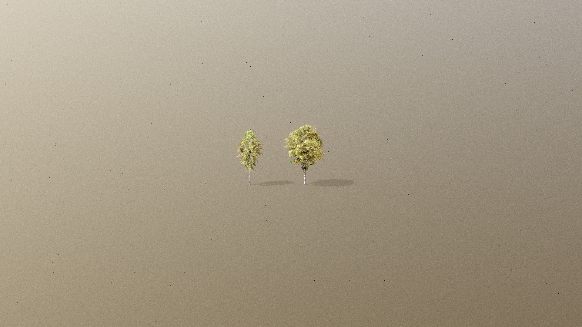 Semi-Realistic Autumn Birch Tree - Download Free 3D model by ...