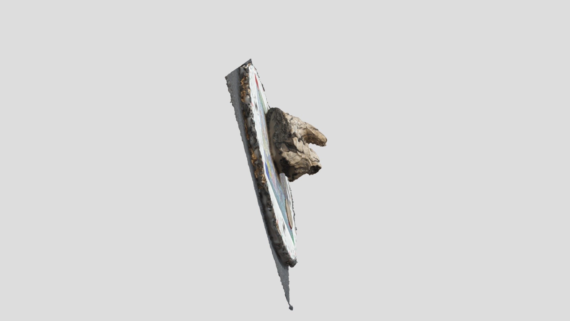 Placoderm Tooth - Download Free 3D model by Max Christie (@mchristie09 ...