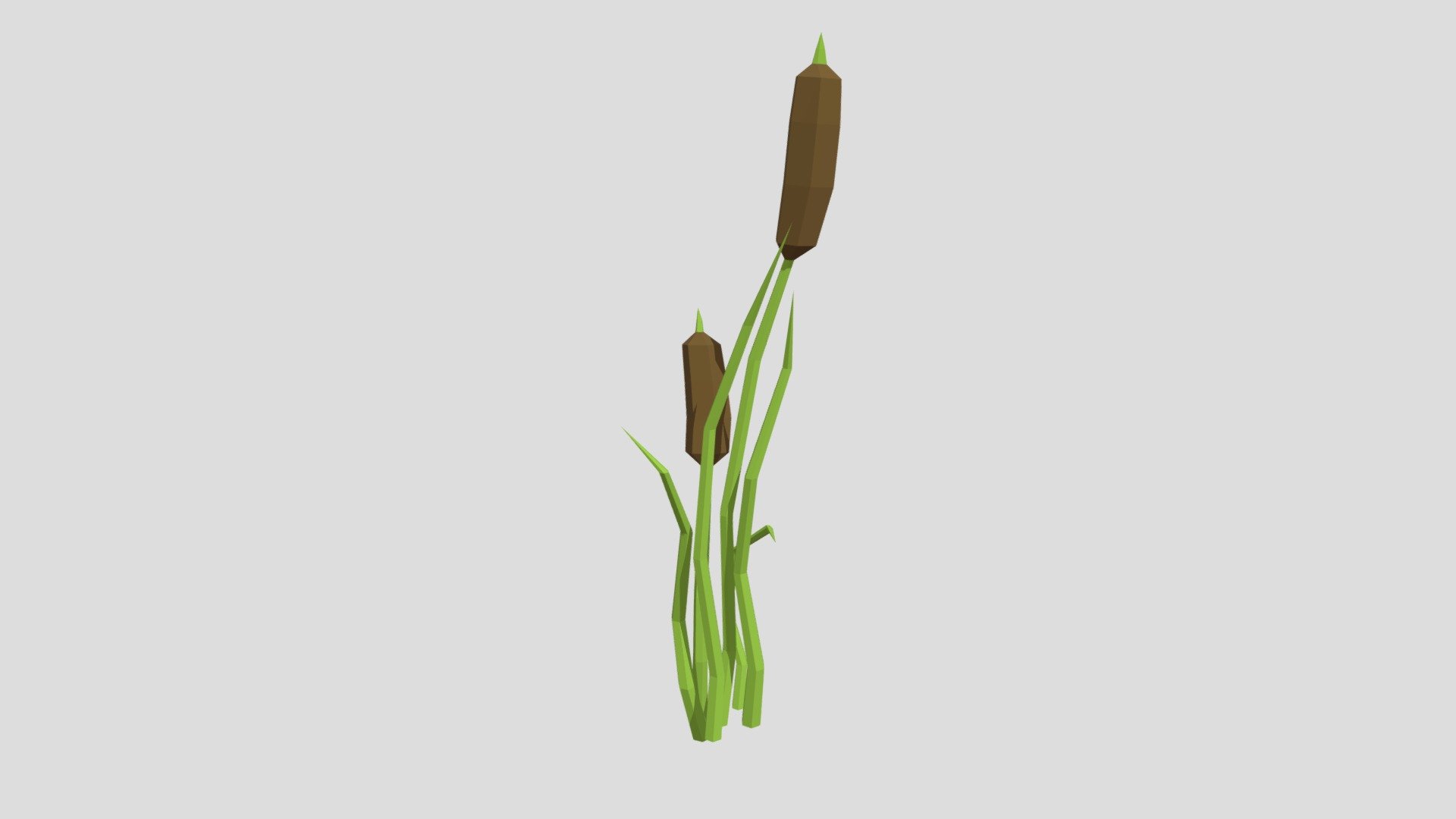Reeds-low-poly - 3D model by Lopohost [e38da9e] - Sketchfab