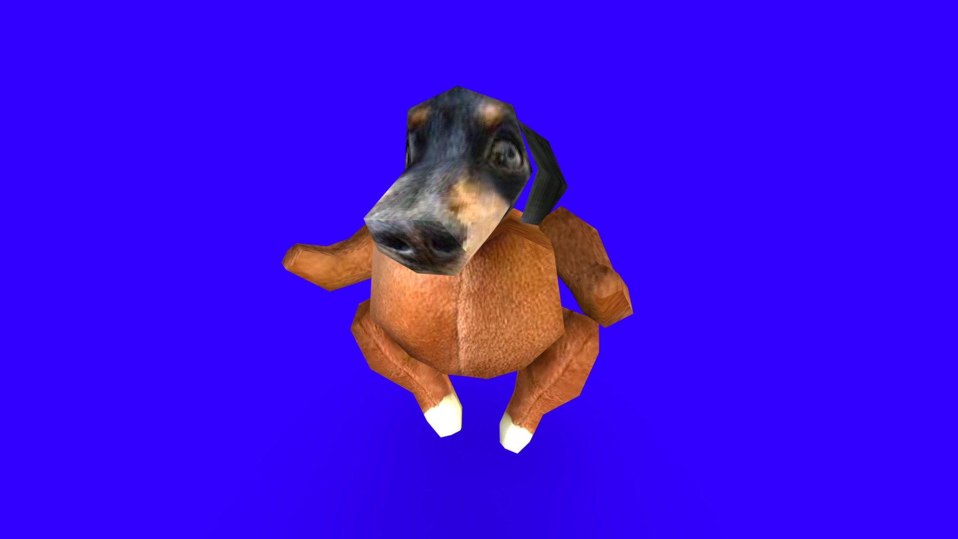 low poly turkey-doggo (dachshund) - 3D model by aletressde ...