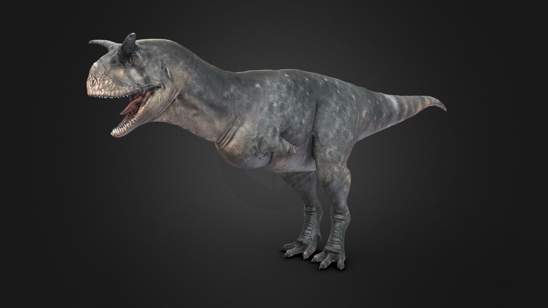 Carnotaurus sastrei- Rigged - Buy Royalty Free 3D model by Iofry ...