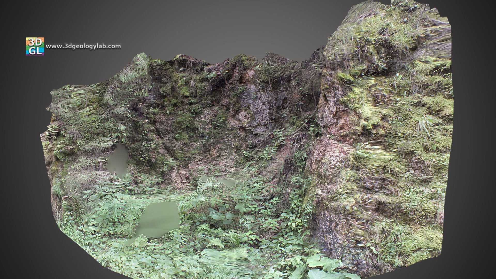 Outcrop - H185 - 3D model by 3D Geology Laboratory (@3DGeologyLab ...