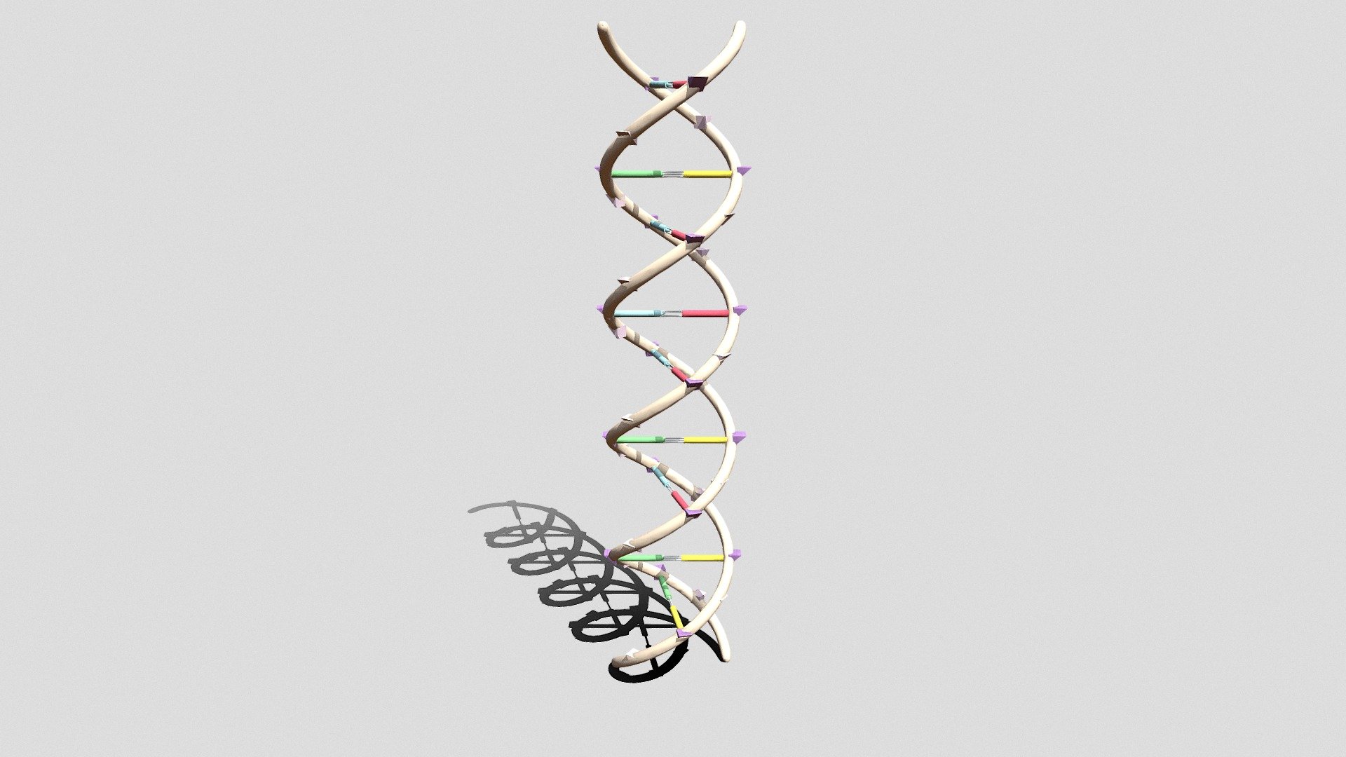 DNA - Download Free 3D model by LinusNeupro (@youtubcrafter) [e3966d8 ...