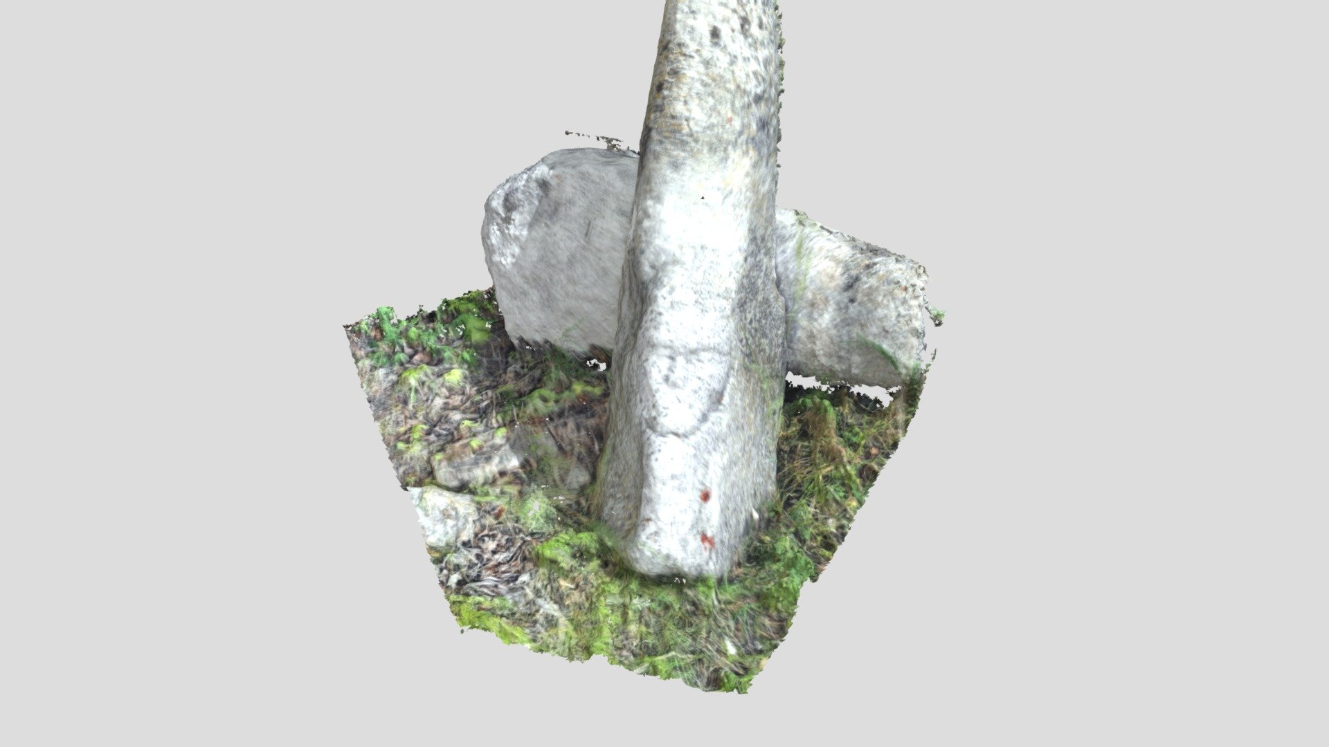 Stone face 01 - Download Free 3D model by bujooo [e39a13a] - Sketchfab