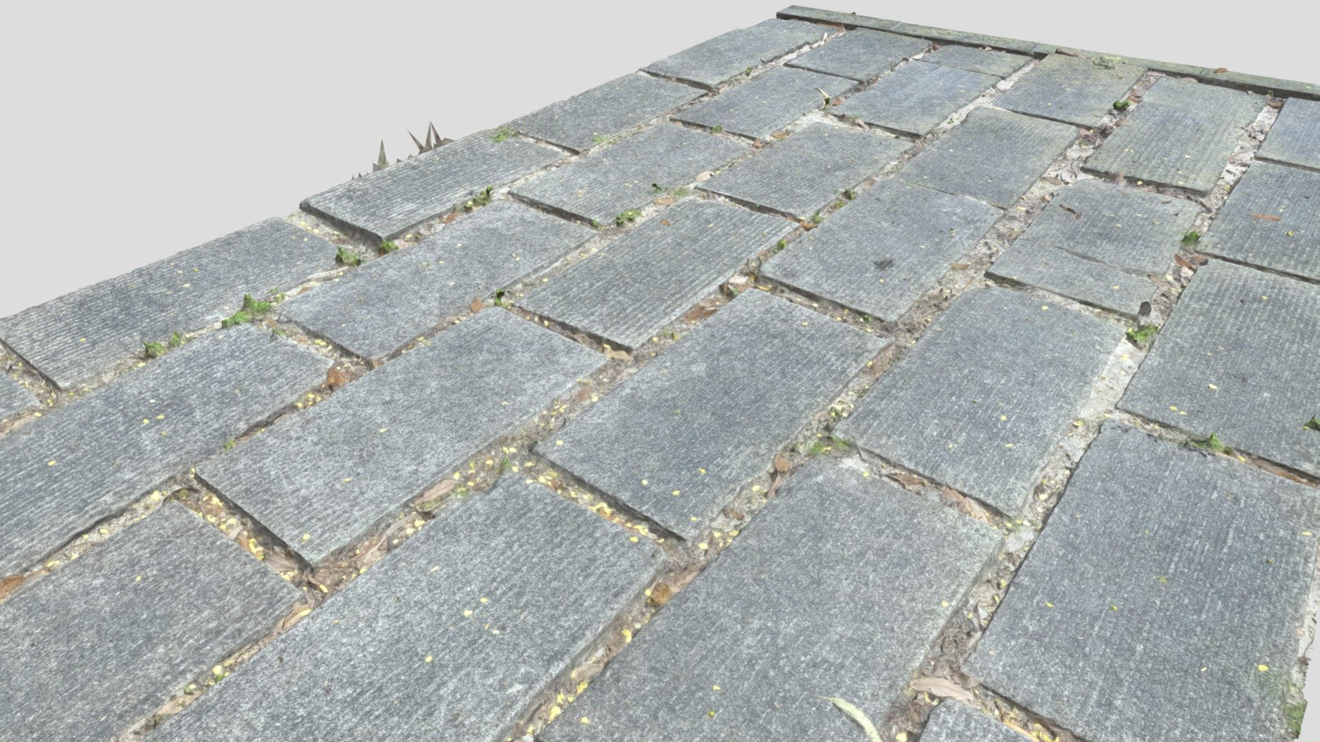 Ground Bricks 03 Scan - Download Free 3D model by joeshu [e39d67d ...