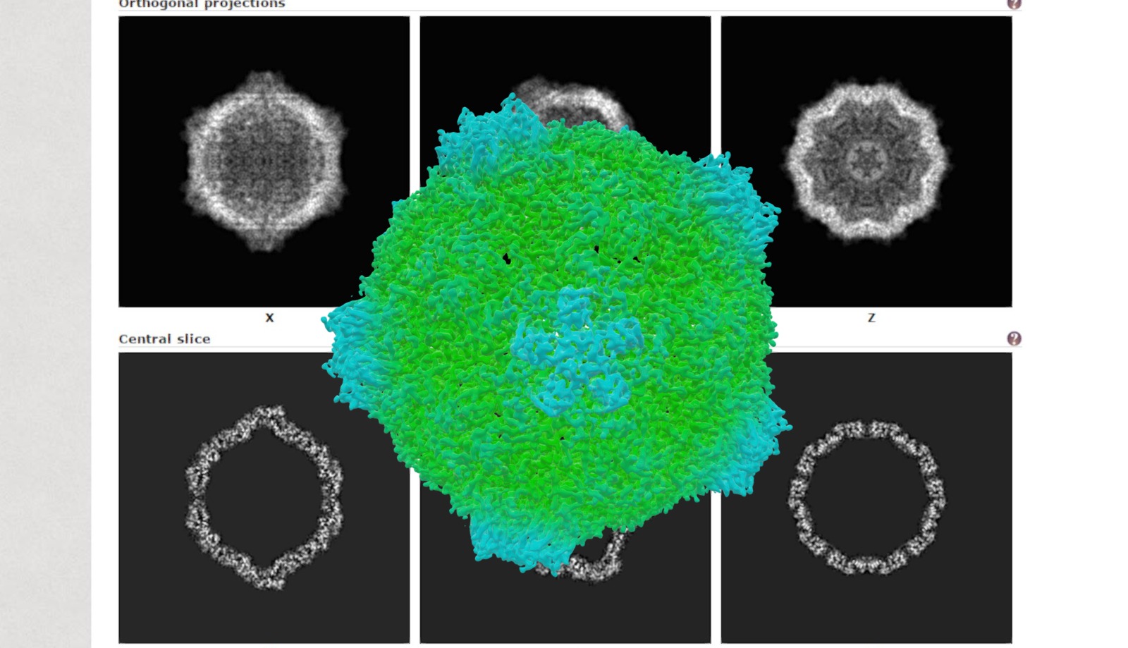 EMDB › EMD-8609 - 3D model by Interactive 3D Data (@proteinsimulation ...