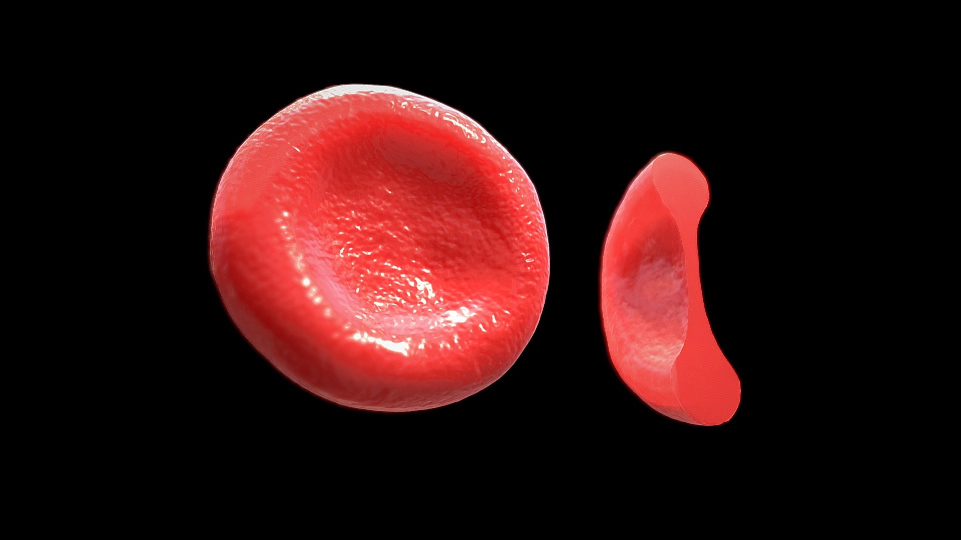 Red blood Cell - Buy Royalty Free 3D model by Nima (@h3ydari96 ...