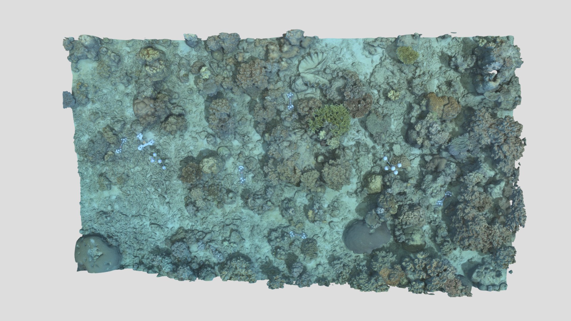 Masig_FR1S_P3_202104 - Download Free 3D model by EcoRRAP (@AIMSEcoRRAP ...