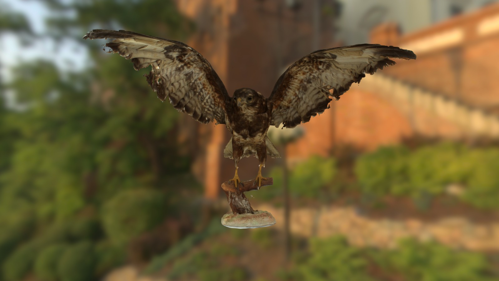 Halcón - 3D model by SteadPro [e3a9232] - Sketchfab