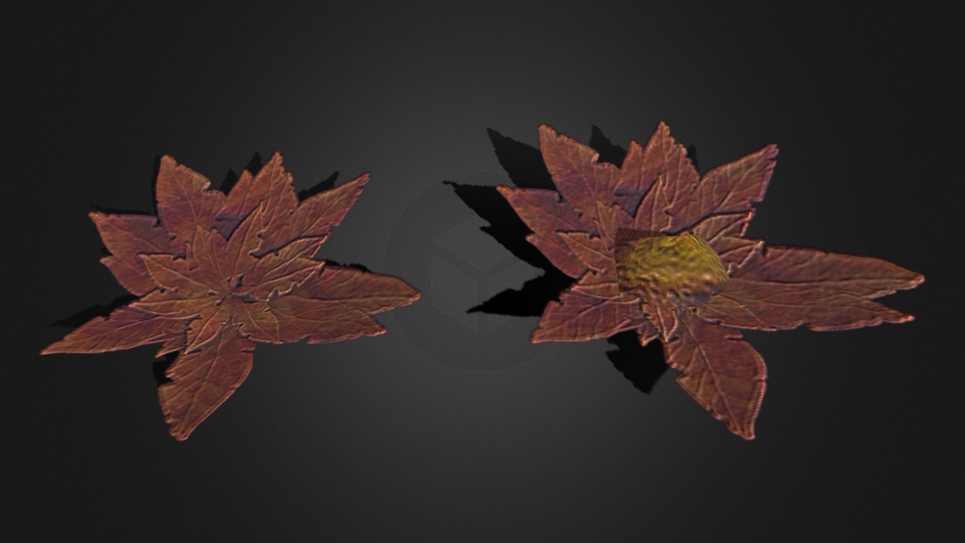 Swamp Leaves - Download Free 3D model by gavinpgamer1 [e3aa5a5] - Sketchfab