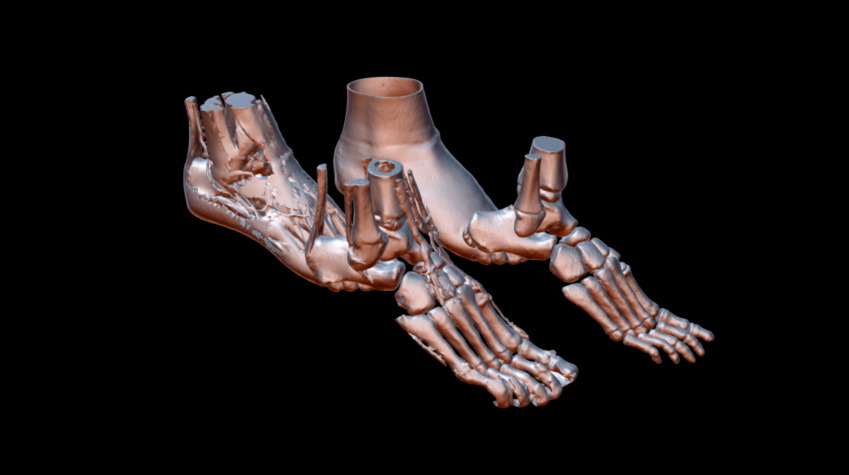 # 045 Right Foot - 3D model by makerof3d [e3b5fc9] - Sketchfab