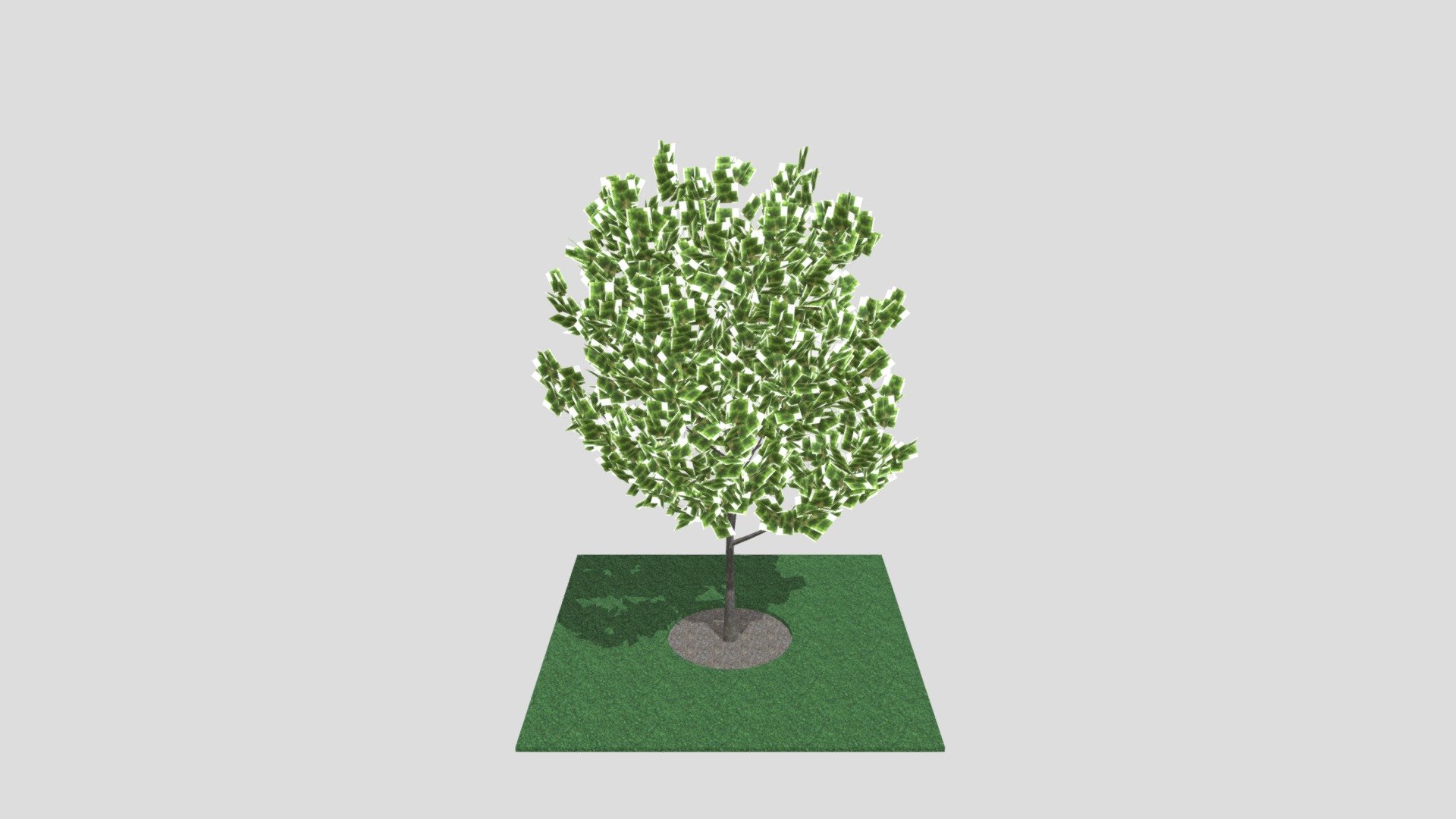 maple_tree - 3D model by 454464654 [e3bfe45] - Sketchfab