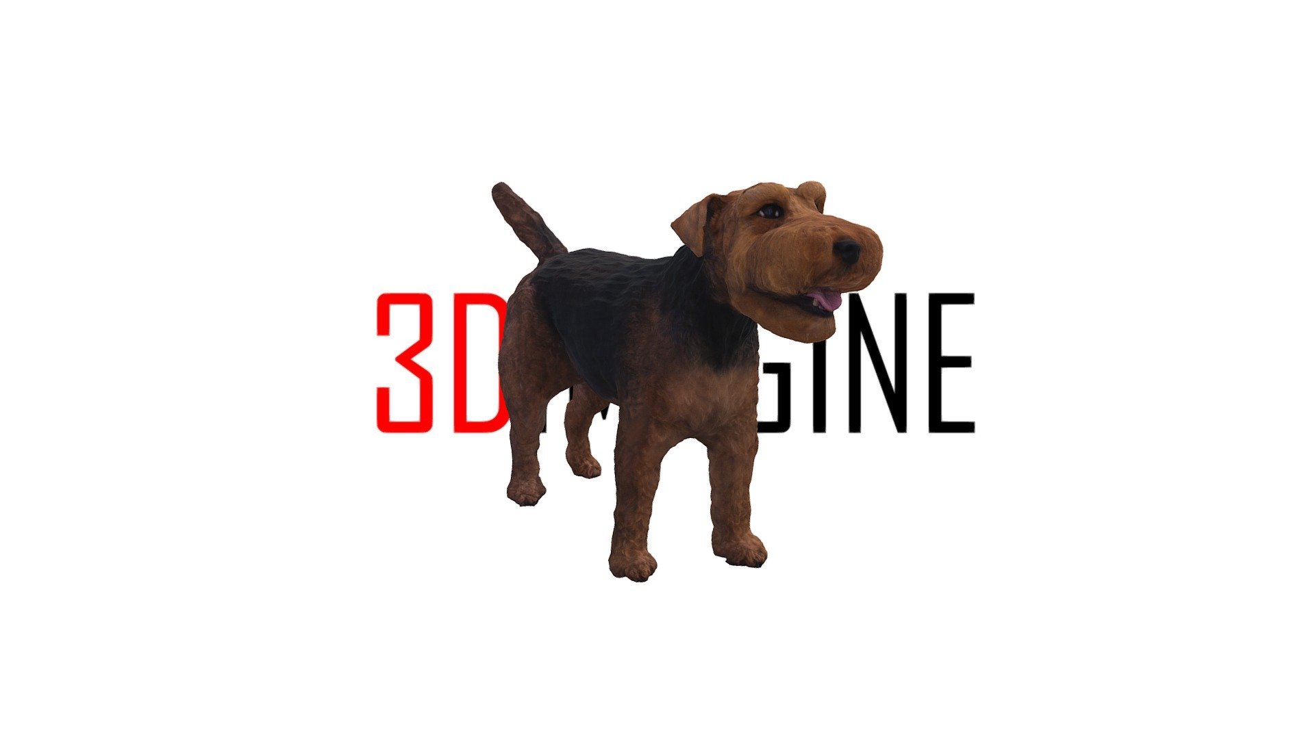 My Sketchfab Mesh - 3D model by 3dimagine [e3c212f] - Sketchfab