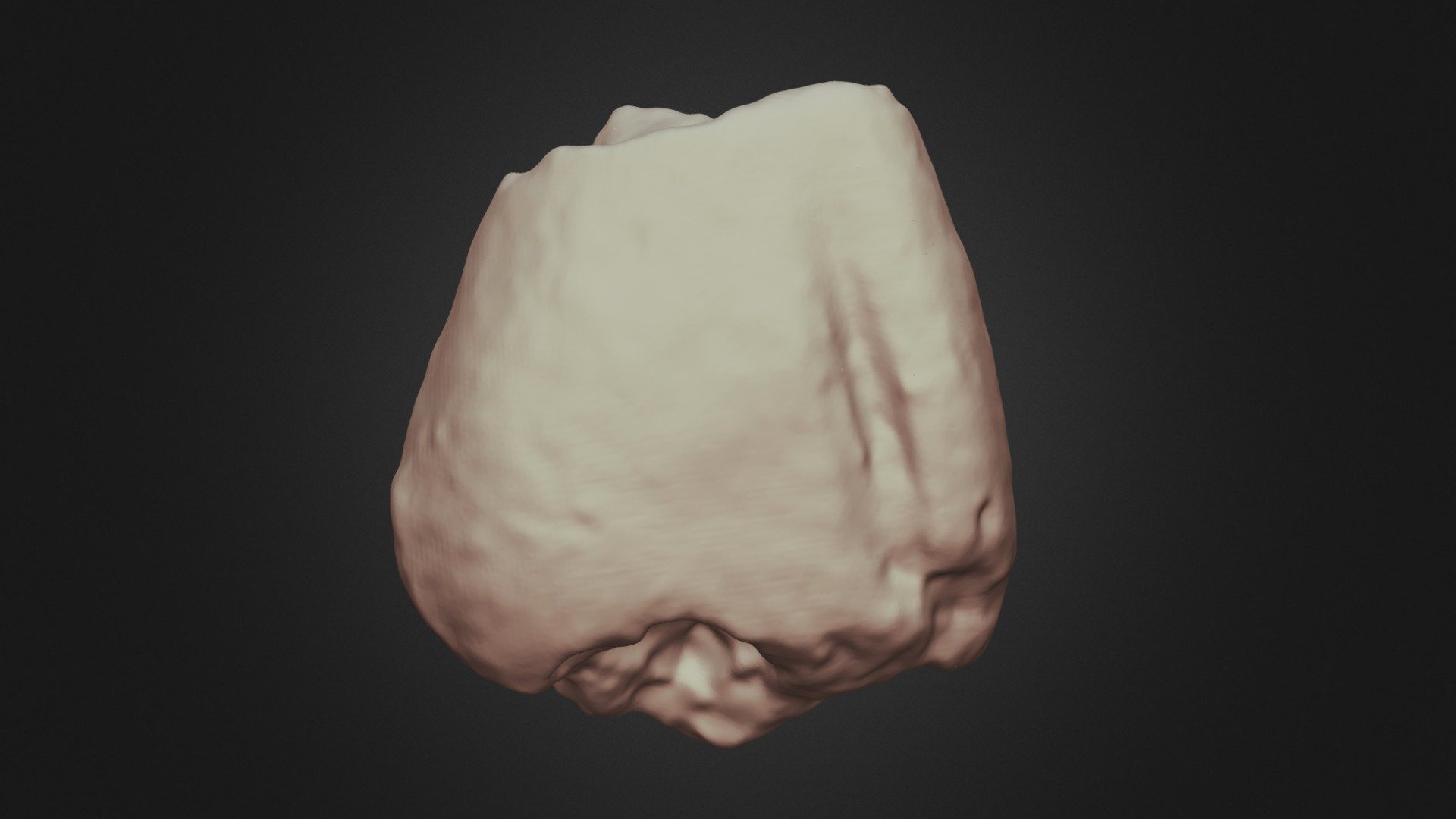 Unidentifiable Bone Fragment - Download Free 3D model by Lakehead ...