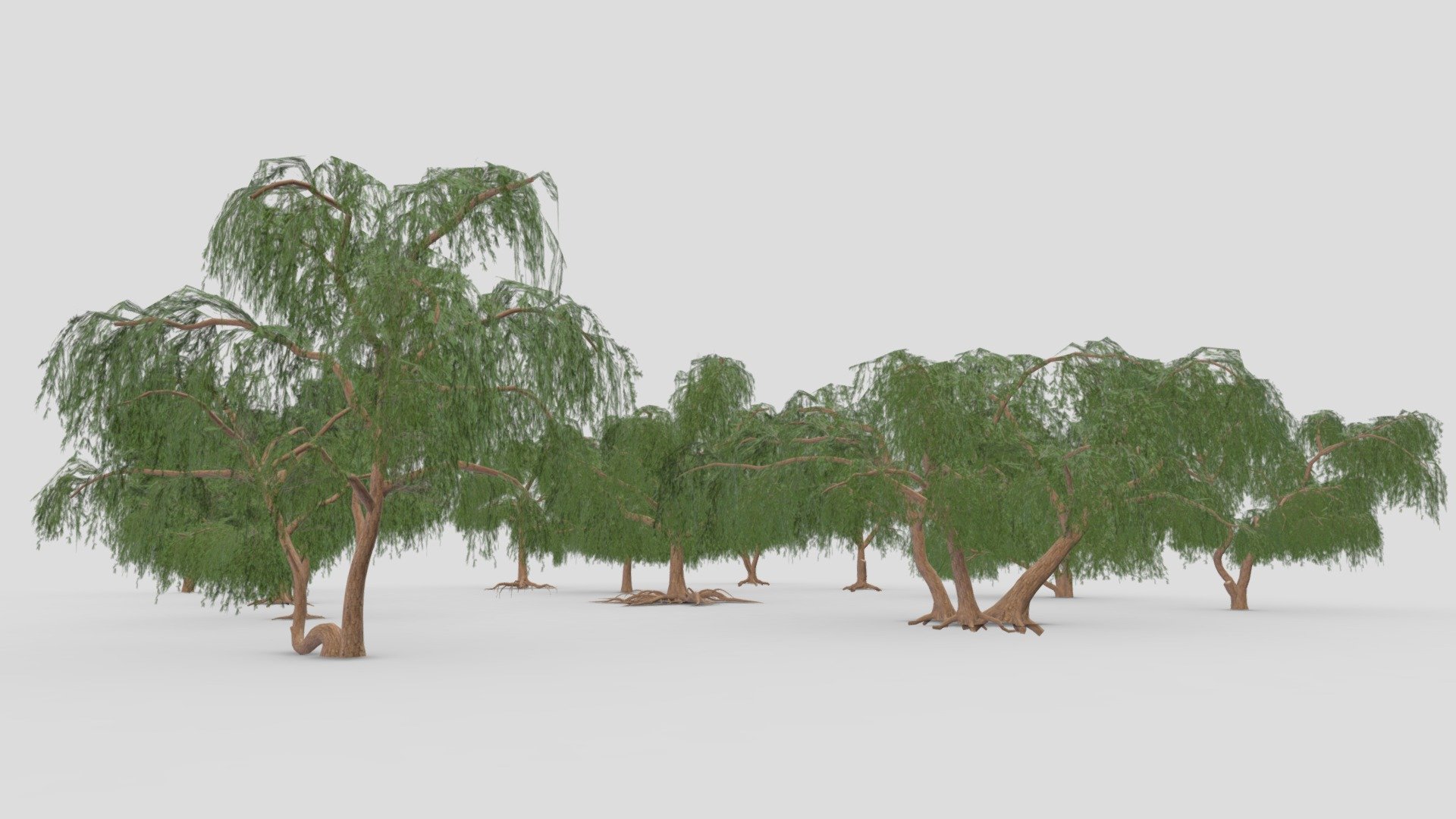 Prosopis Tree- Full Pack- 04 - Buy Royalty Free 3D model by ASMA3D ...
